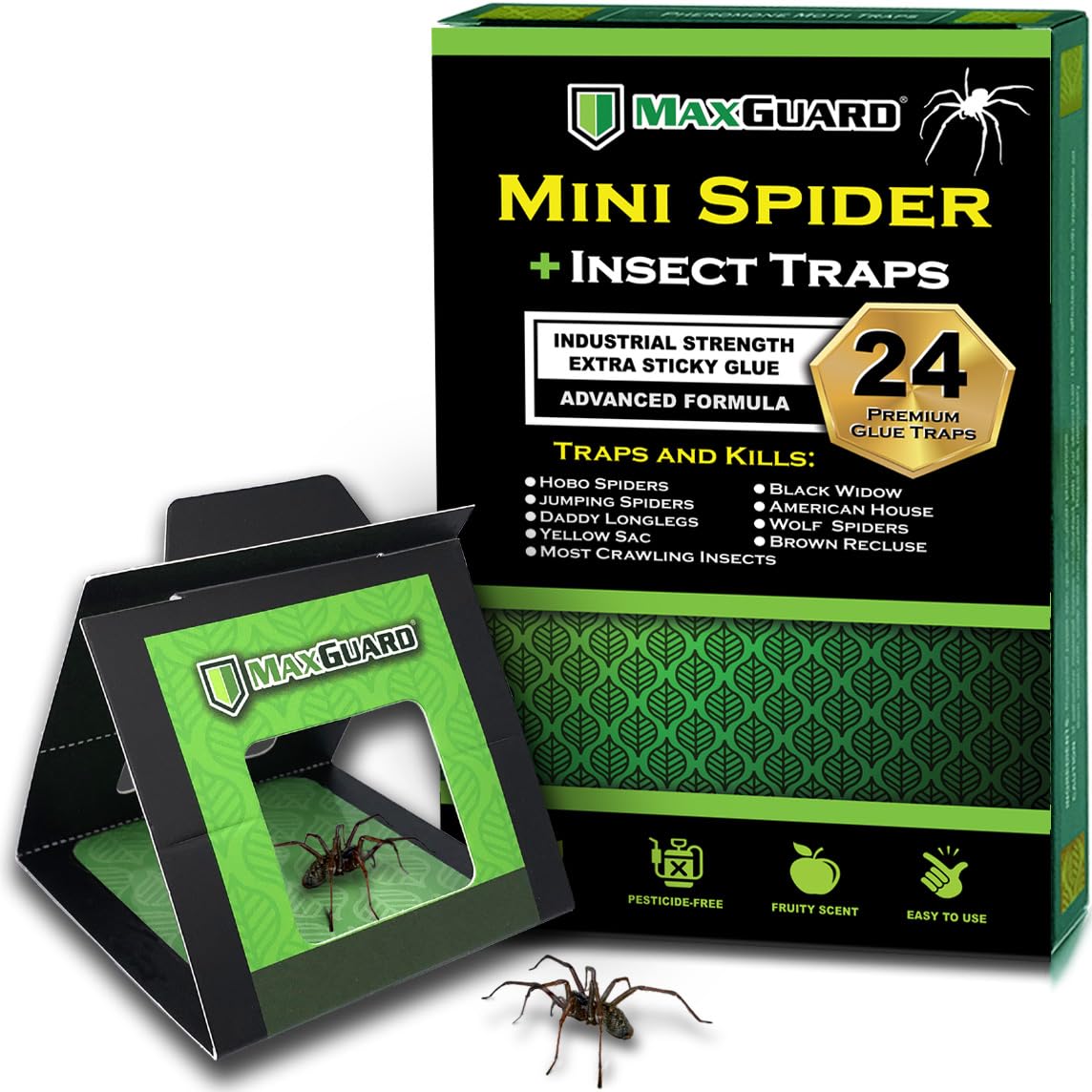 Maxguard Mini Spider + Insect Traps (24 Pcs Box Trap) | Non-Toxic Extr ...